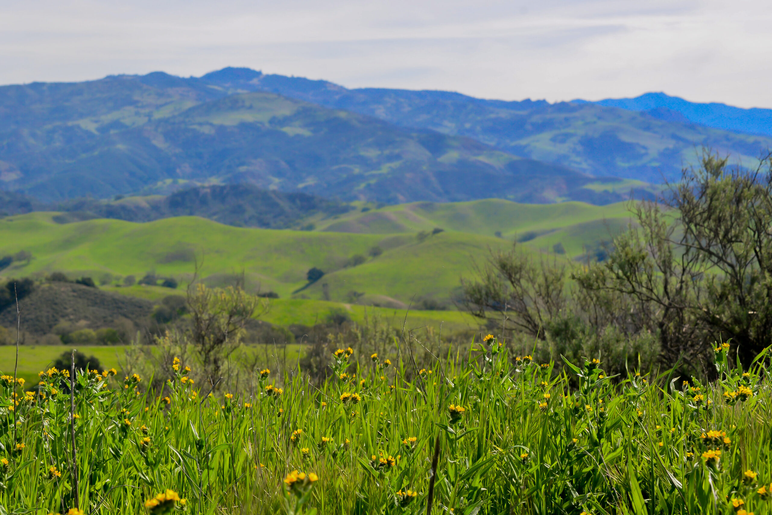 Remembering Who We Really Are - Center For Psychotherapy and ...